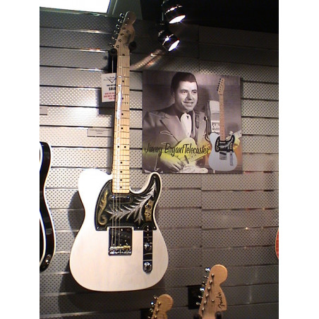 FENDER CUSTOM SHOP USA & JAPAN VINTAGE WATERSLIDE DECALS